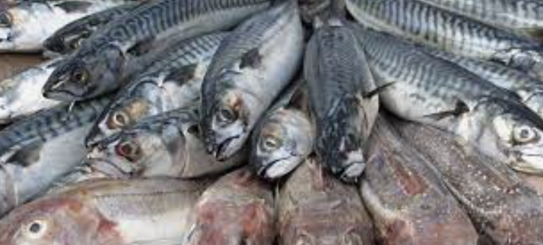 Les incroyables bienfaits santé du poisson à découvrir ! - Apprendre à ...